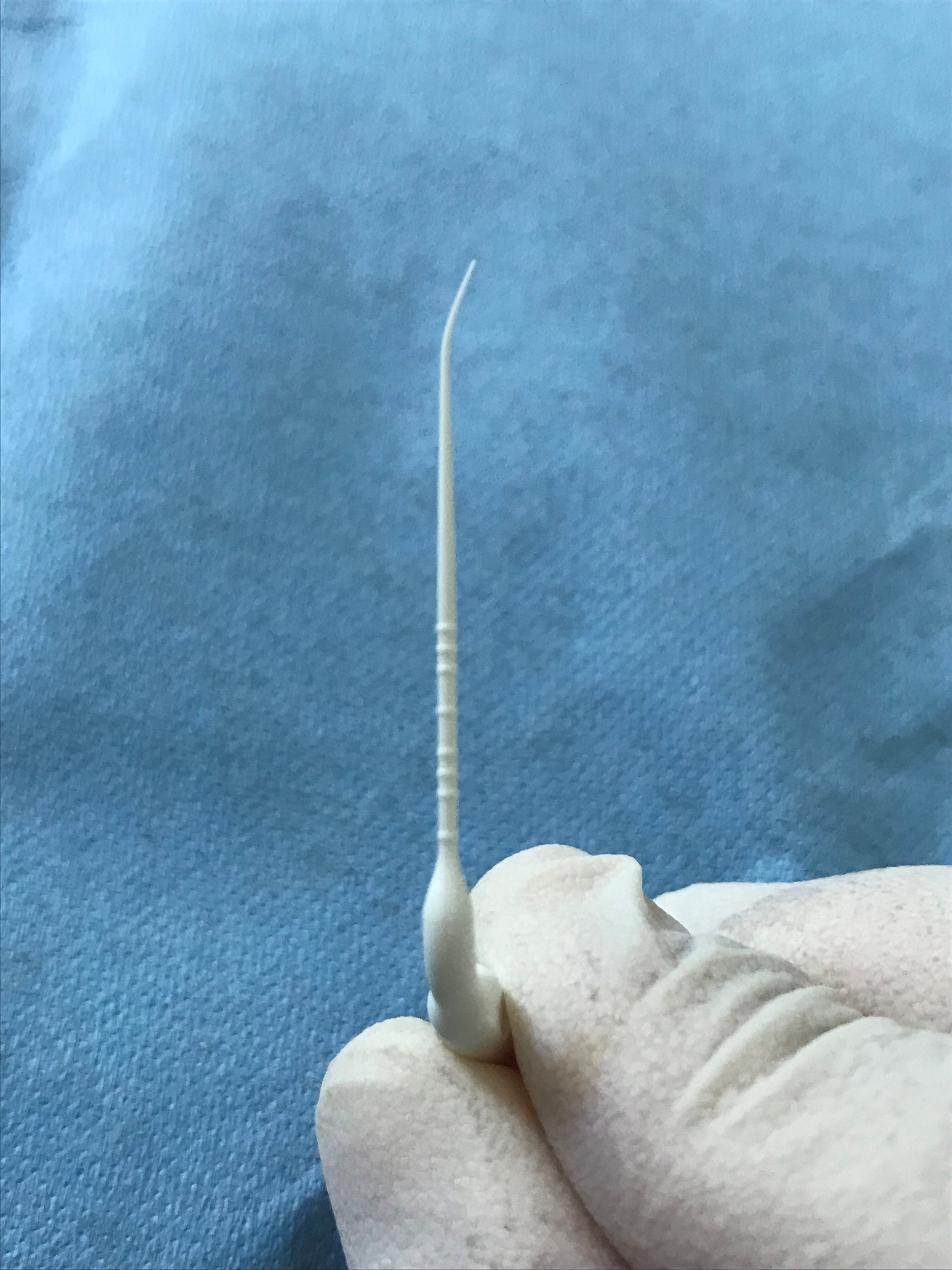 Shaping a Type V mandibular premolar with VDW.ROTATE